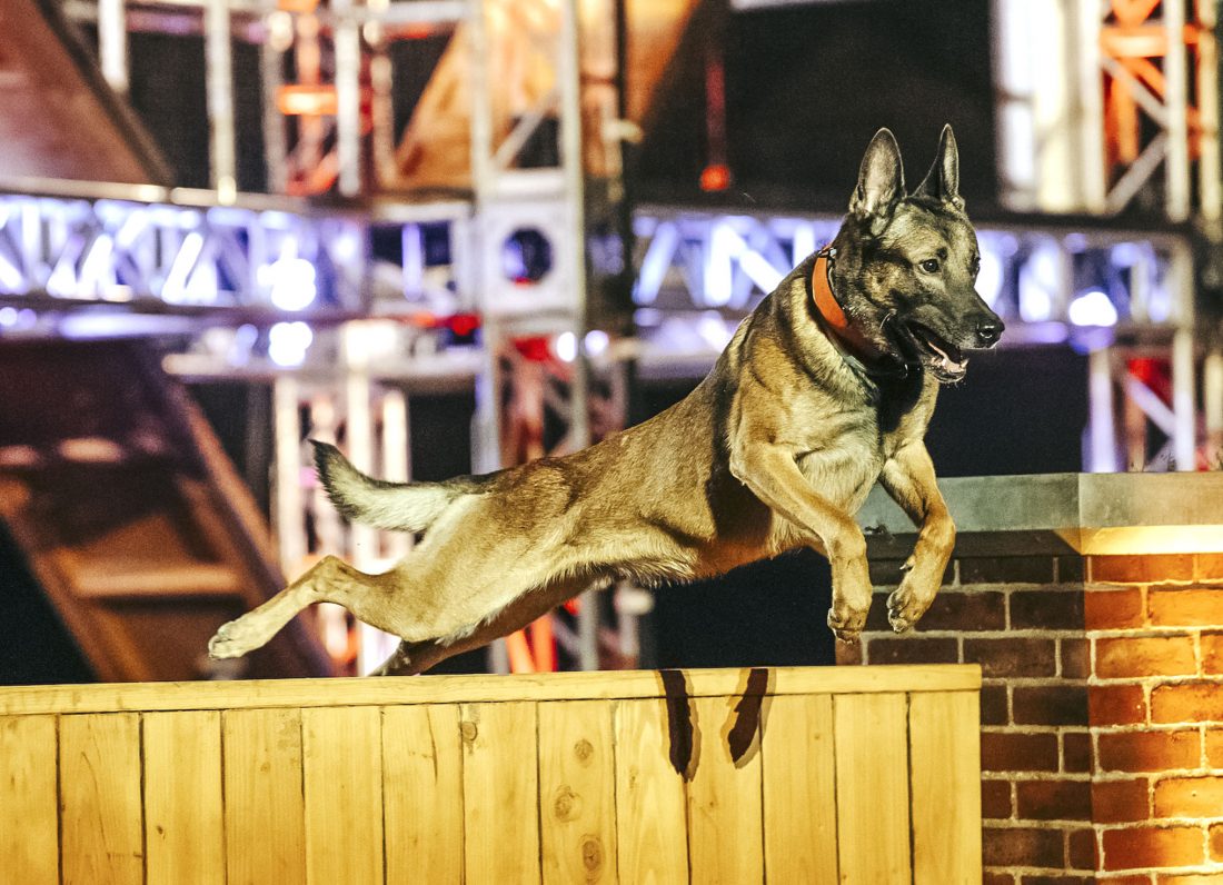 Simon in the spotlight | News, Sports, Jobs - Salem News